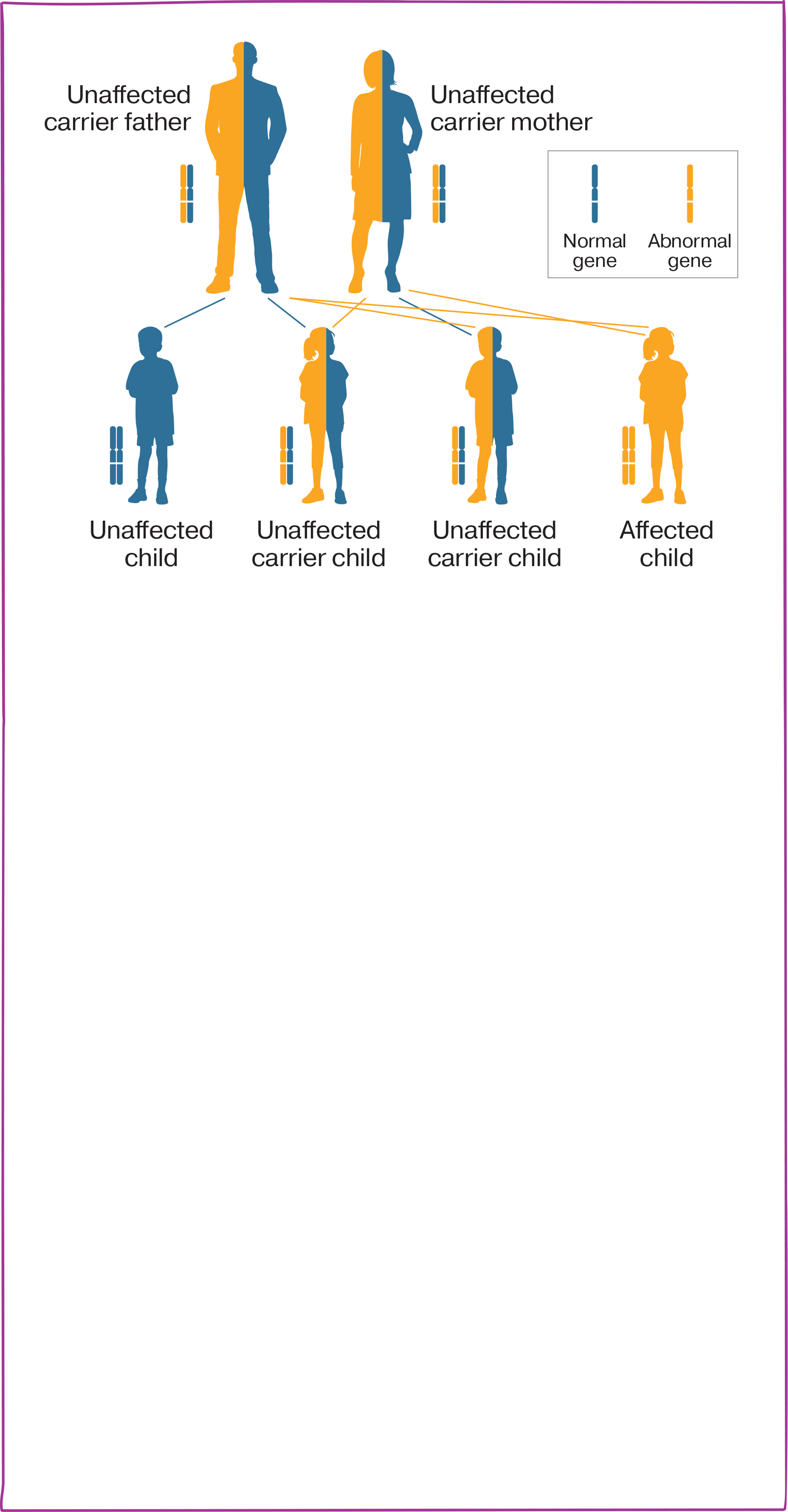 gene-chart-border mobile