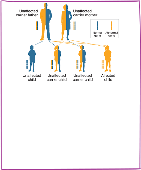 gene-chart-border